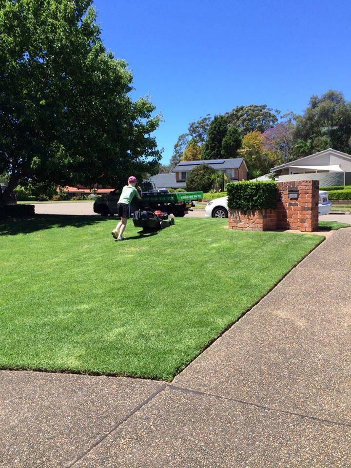 Kikuyu Grass Care - Lawn Green